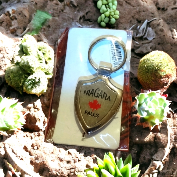 Vintage | Accessories | Vintage Silver Niagara Falls Keychain Nwt ...